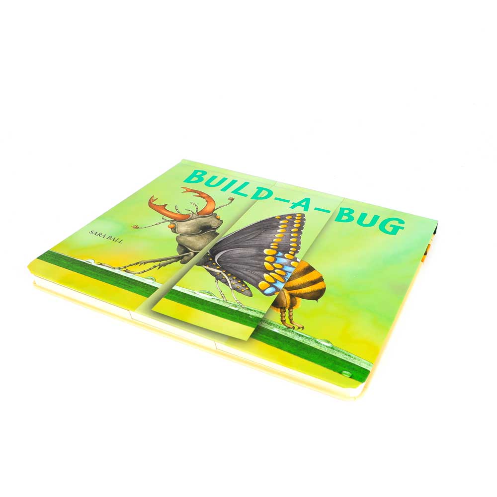 Build-a-Bug – Australian Museum Shop