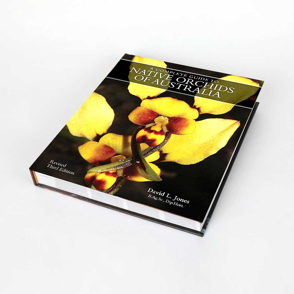 A Complete Guide to Native Orchids of Australia | Definitive Guide ...