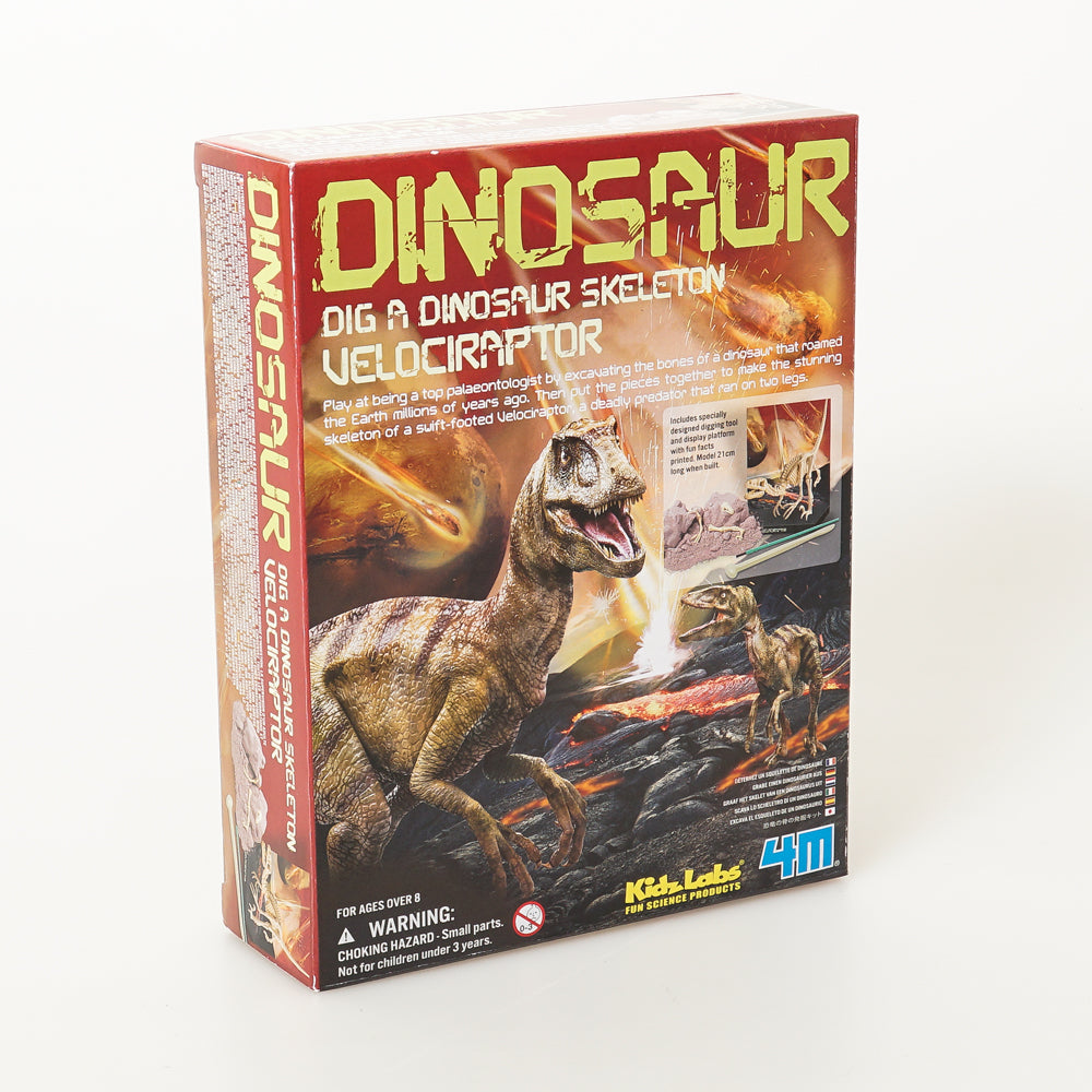 Dig a Dinosaur Velociraptor – Australian Museum Shop