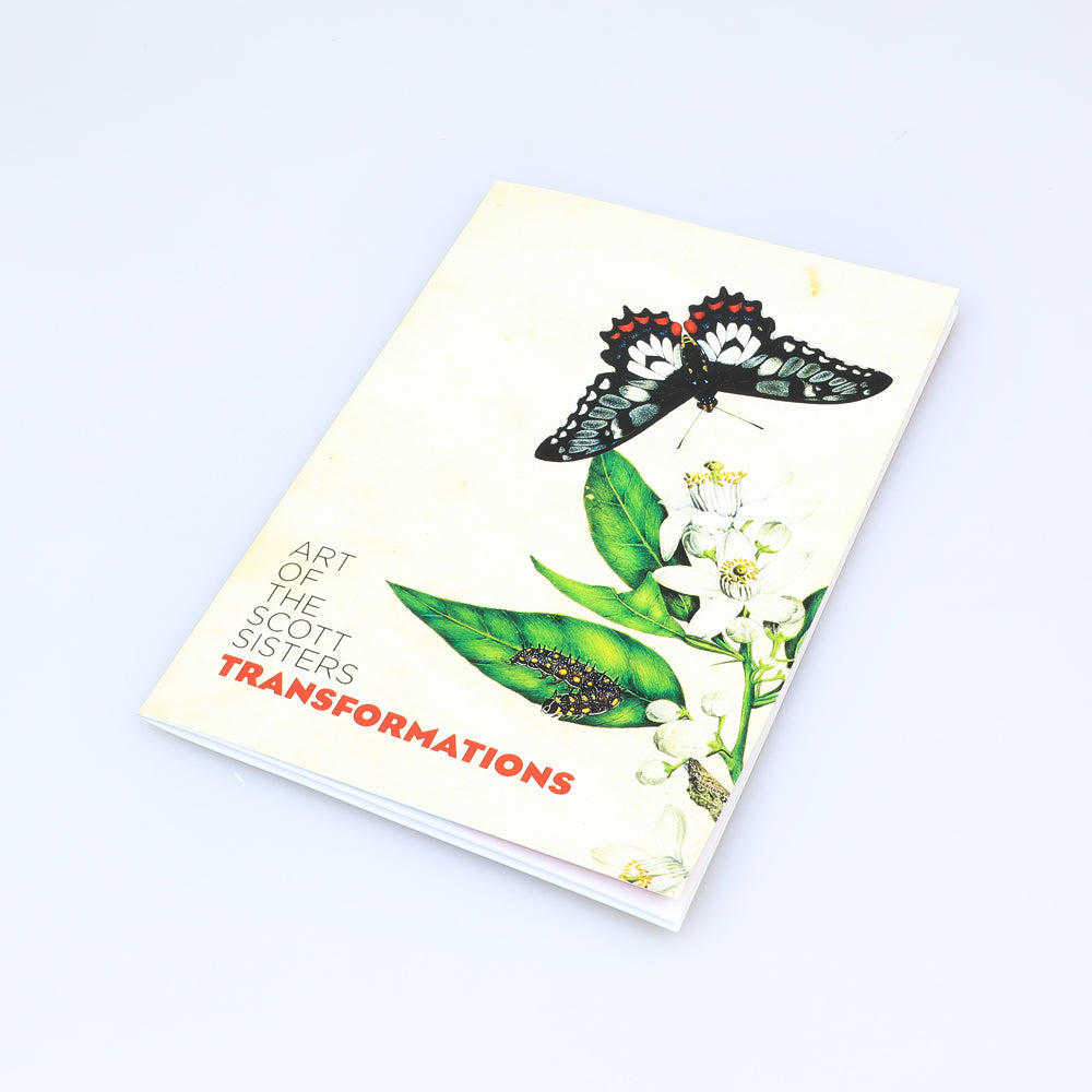 Art of the Scott Sisters - Transformations – Australian Museum Shop