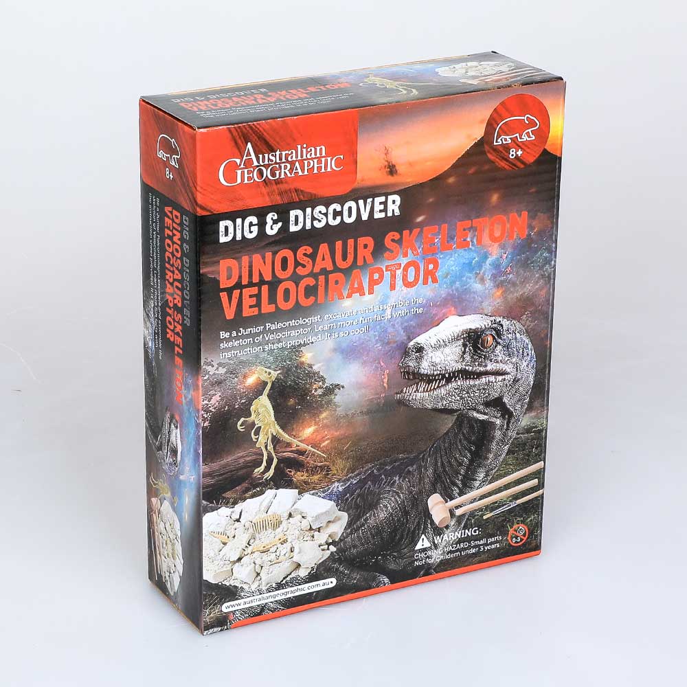 Velociraptor - Dig & Discover Australian Geographic – Australian Museum ...