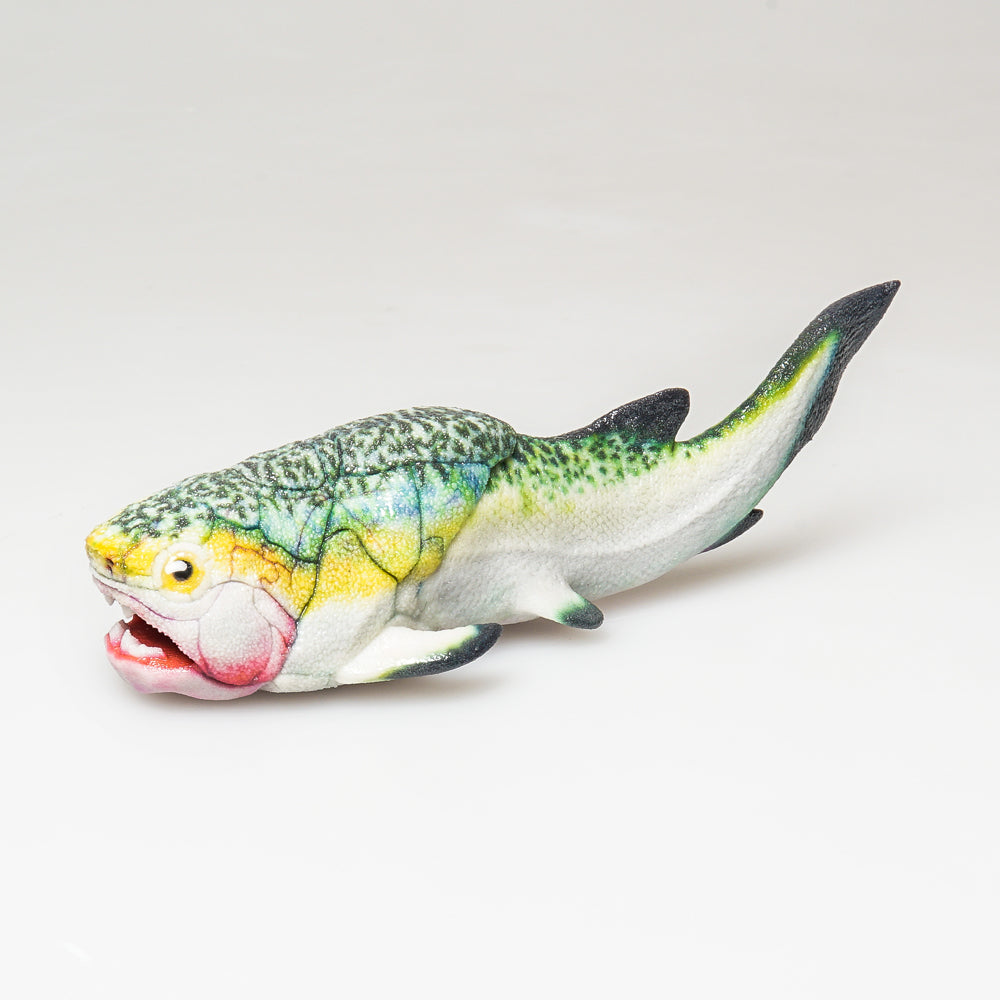 Gogo Fish - 3D Printed, Hand Painted Model – Australian Museum Shop